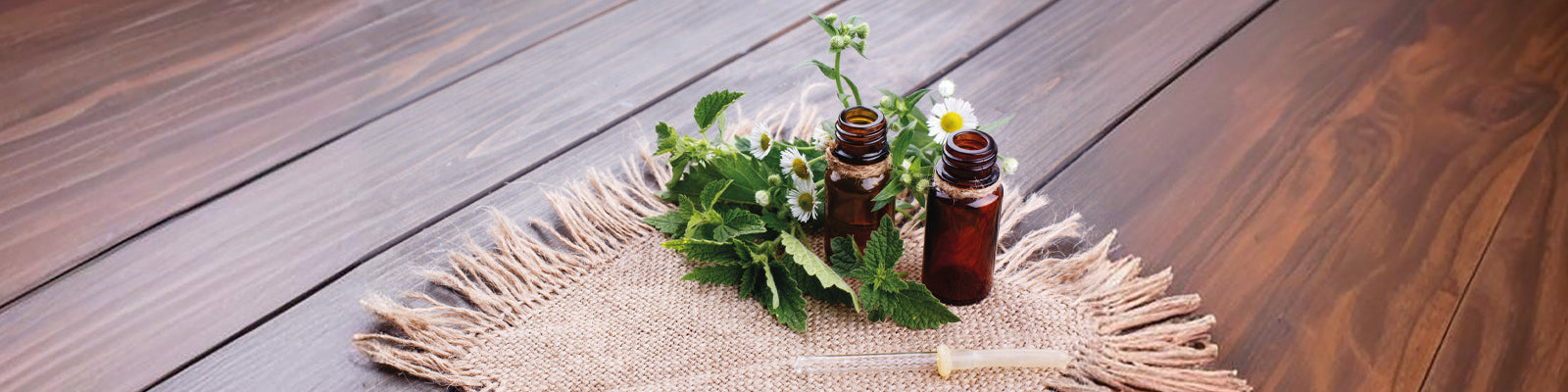 Aromatherapy Oils for a Calming Home Environment